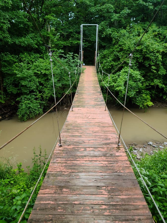 Old bridge over water stock photo. Image of jungle, forest - 258376094
