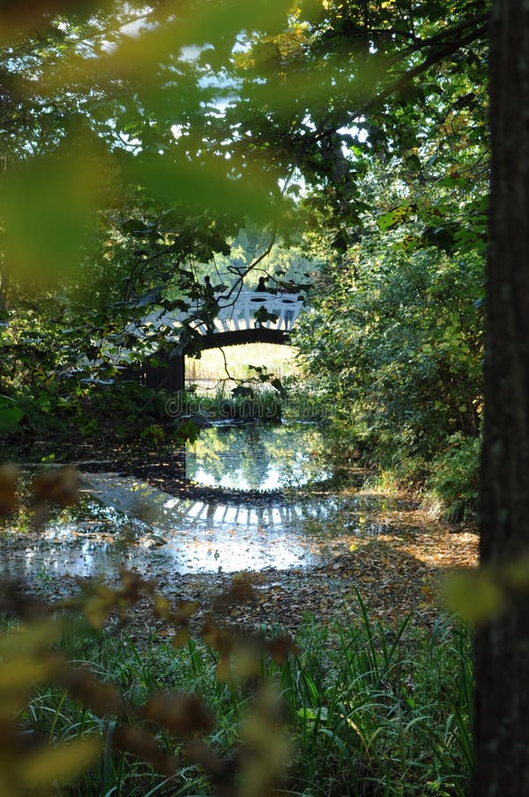 Old Bridge in a Spring Park Stock Image - Image of nature, sunlight ...