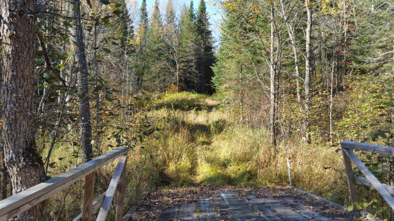 Old bridge stock photo. Image of forests, north, bridge - 136319672