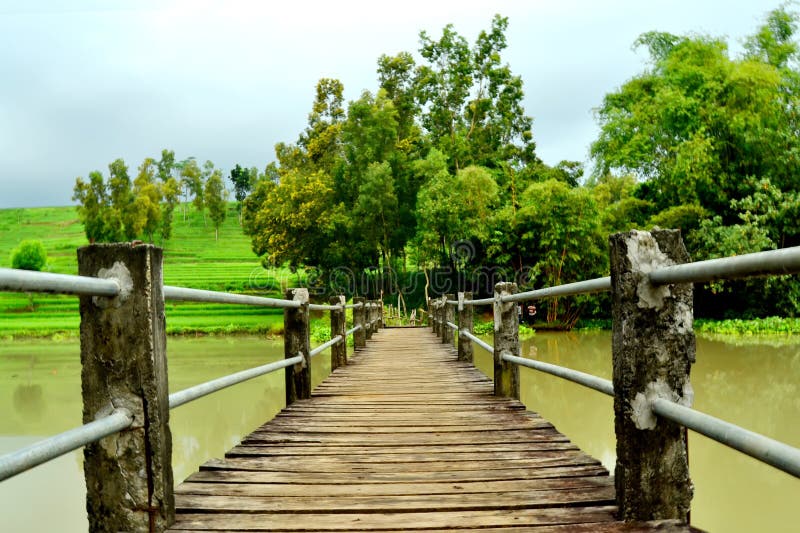 An Old Bridge in a Village Connects the Rice Fields Stock Image - Image ...