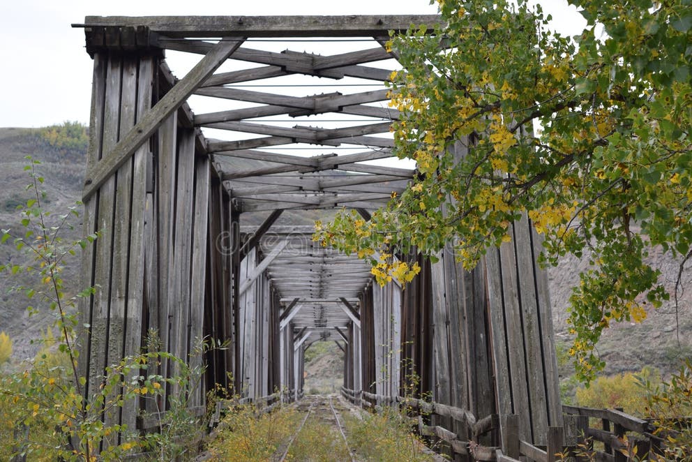 The Old Rail Bridge stock photo. Image of wooden, rusted - 45103060
