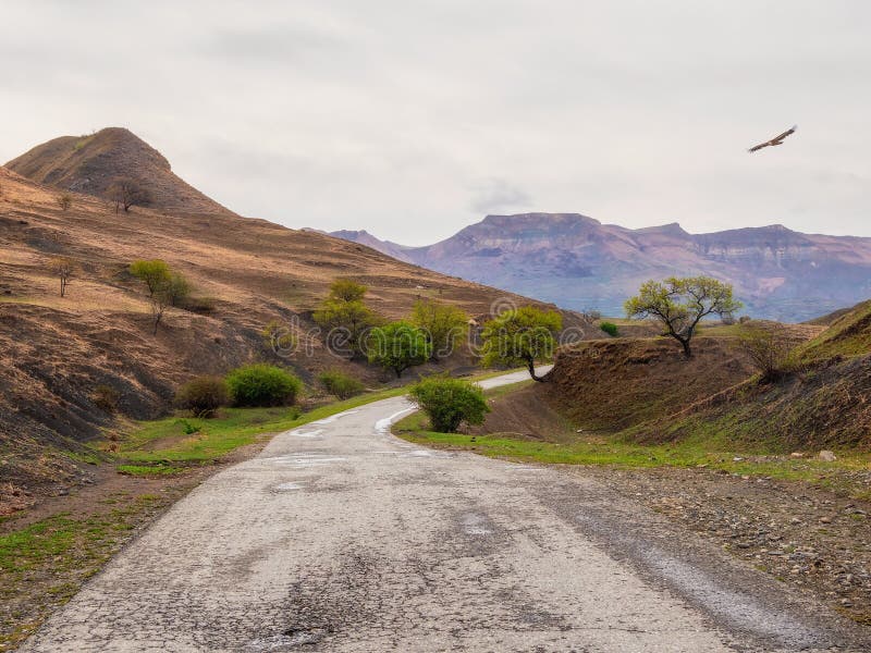 Old Broken Asphalt Road through a Rainy Mountain Plateau Stock Photo ...