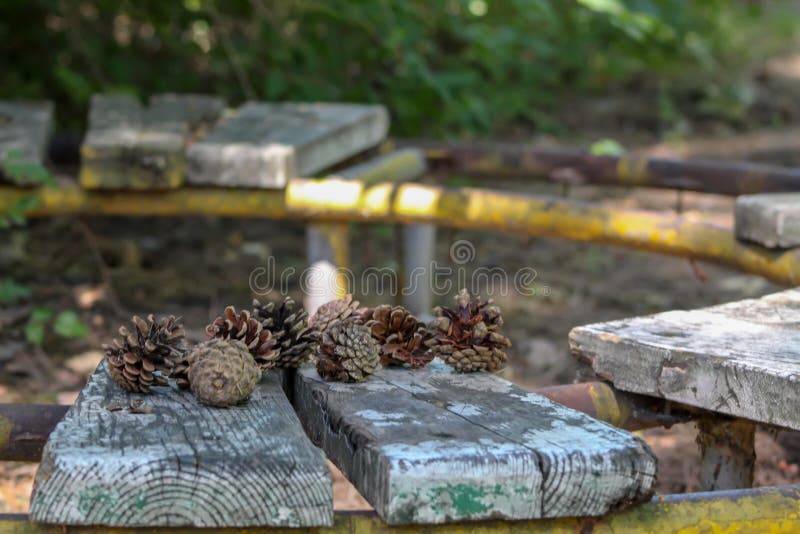 Old, Broken Bench in the Park, Decorated with Cones Stock Photo - Image ...
