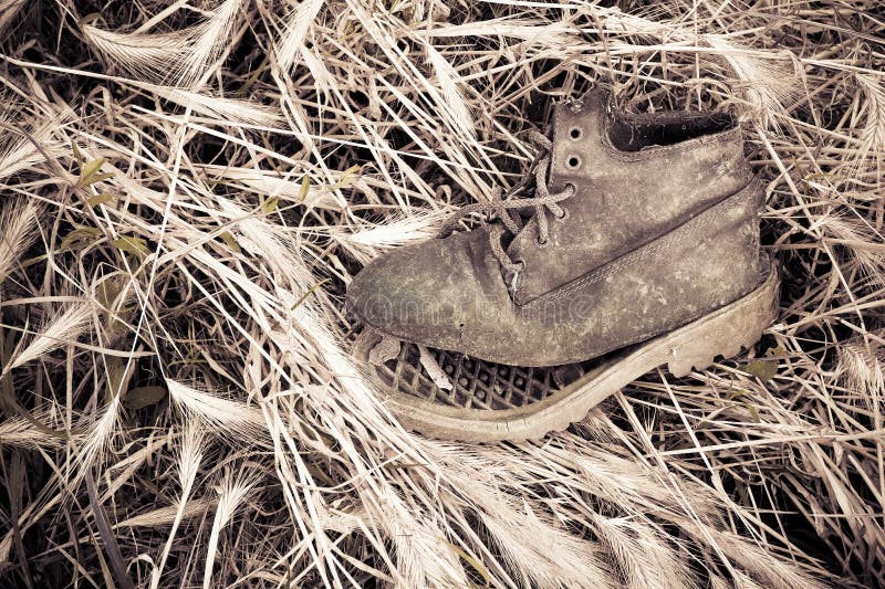 Old Broken Boot Abandoned in a Grass Carpet Stock Photo - Image of ...