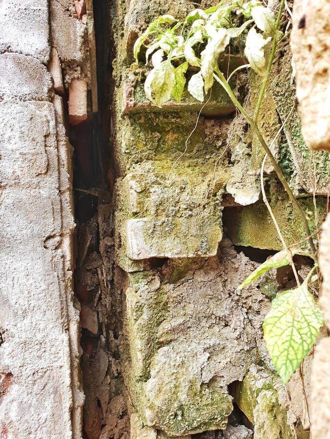 Old Broken Brick Wall Exposed Stock Photo - Image of bottom, crumbling ...