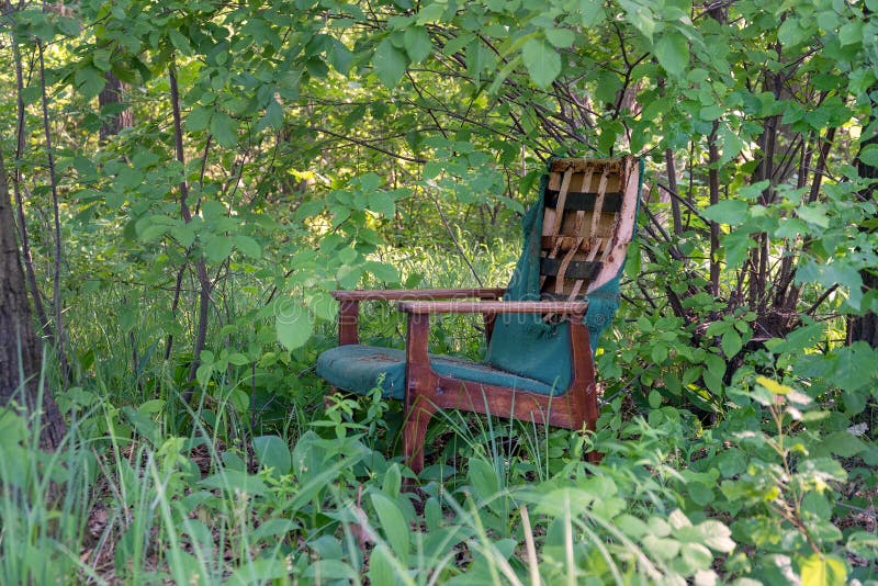 Old Broken Chair Stands Alone in a Thicket of Green Forest Stock Photo ...