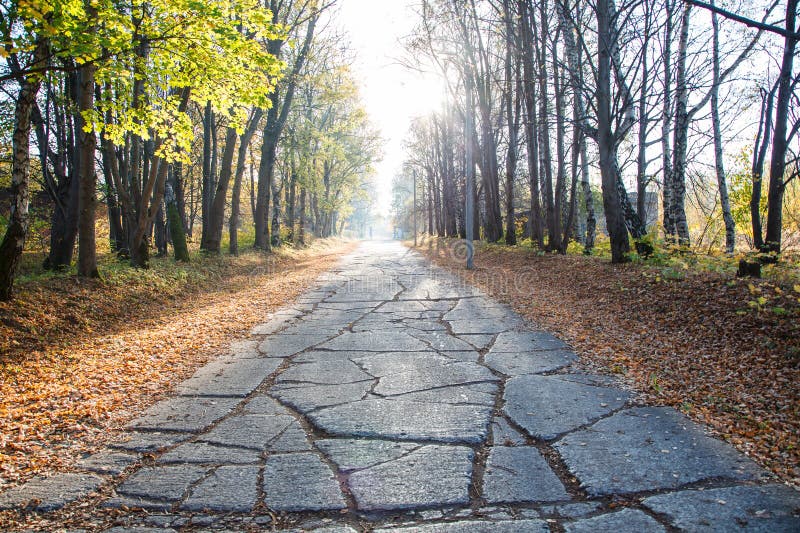 Old Broken Concrete Road on Autumn Day Stock Image - Image of grass ...