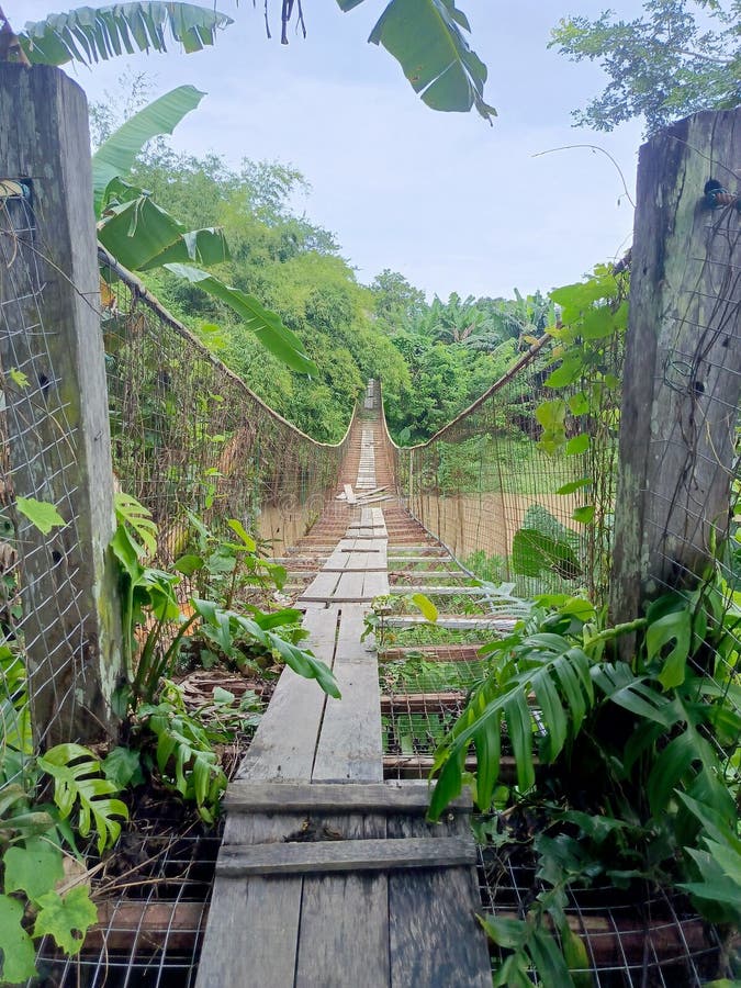 Old Broken Hanging Bridge Over River Stock Image - Image of river ...