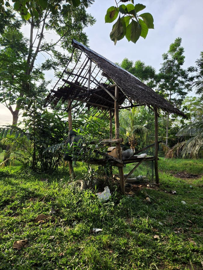 853 Swamp Hut Stock Photos - Free & Royalty-Free Stock Photos from ...