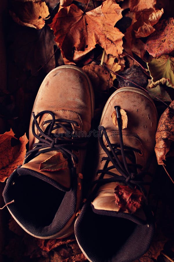 Old broken leather shoes stock photo. Image of idyll - 55886646