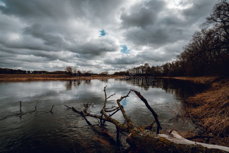 Old Broken Tree Laying on River Water Stock Photo - Image of broken ...