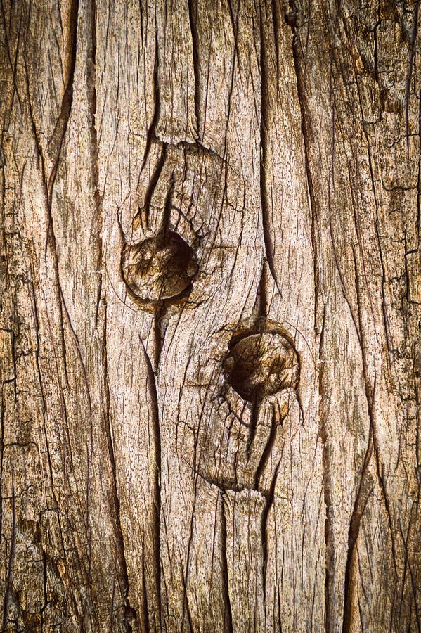 Old Broken Wood Plank Texture Stock Image - Image of floor, hardwood ...