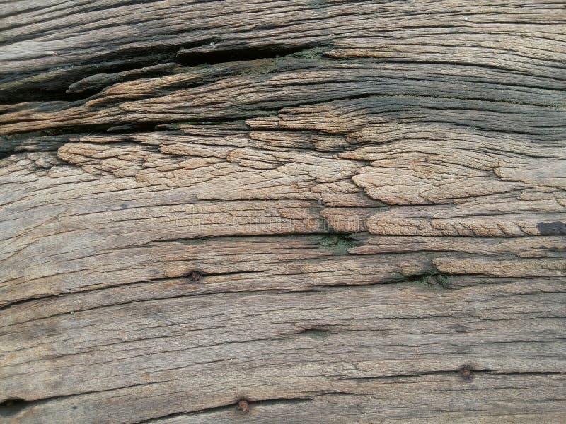 Old Broken Wood Plank Texture Stock Photo - Image of timber, retro ...