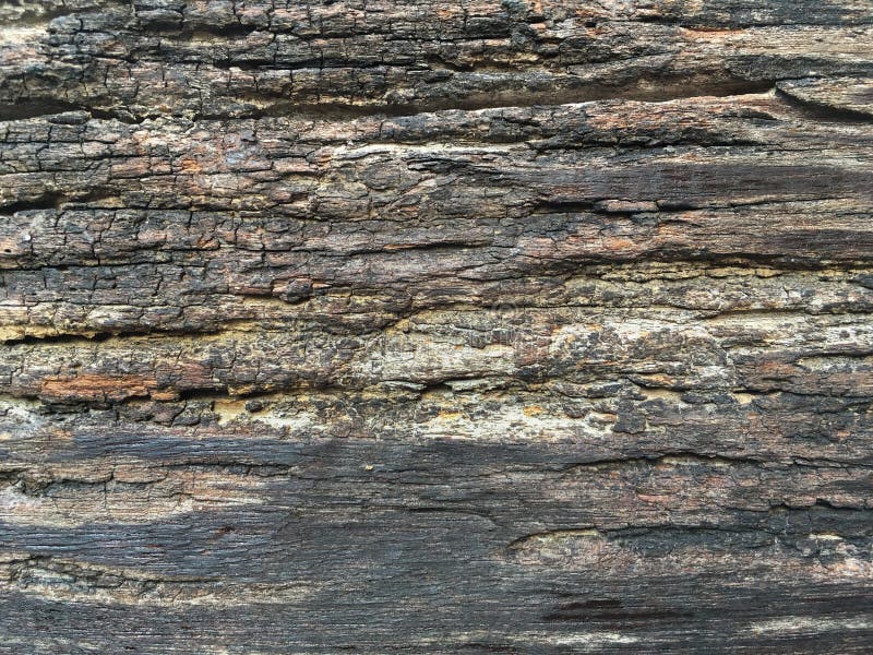 Old Broken Wood Plank Texture Stock Photo - Image of textured, rough ...