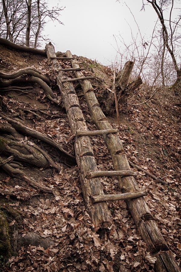 17+ Old broken ladder Free Stock Photos - StockFreeImages