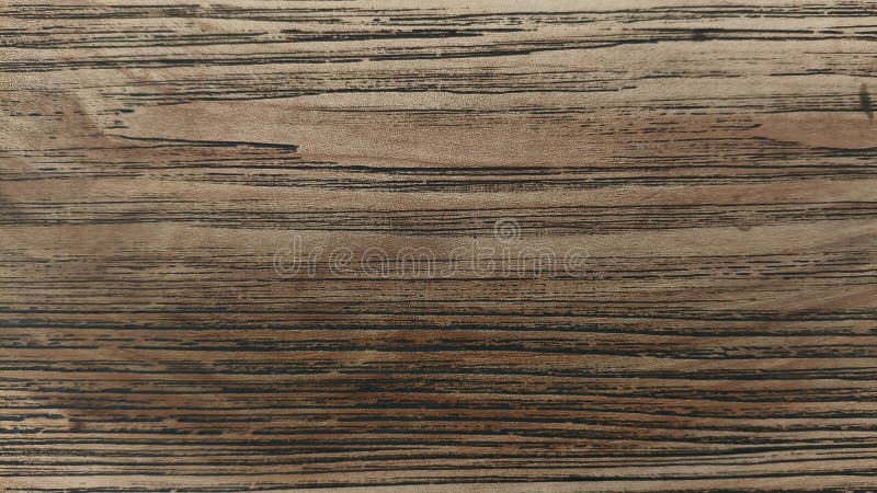Old Brown Bark with Black Lines Stock Image - Image of bark, black ...