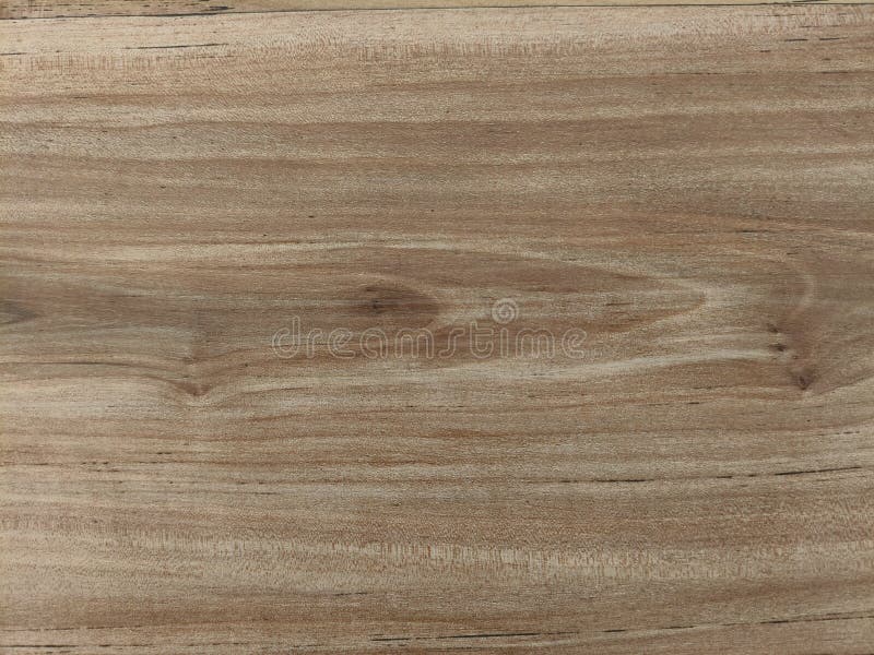 Old Brown Bark with Black Lines Stock Photo - Image of furniture, tile ...