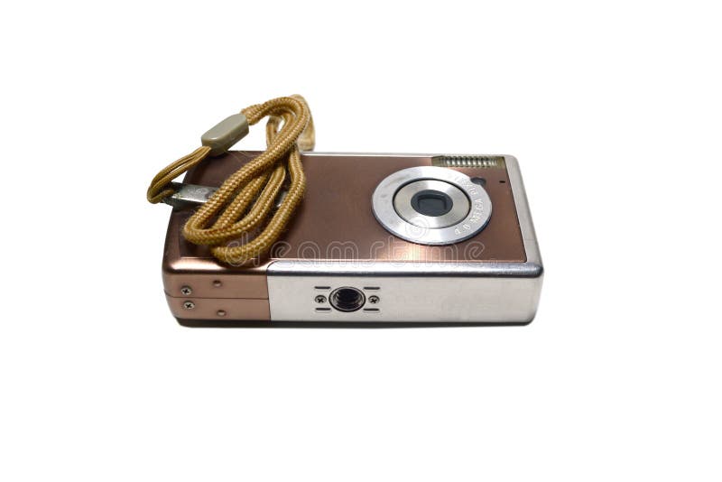 Brown Digital Backdrop for Newborn Photography with Pine Cones and ...