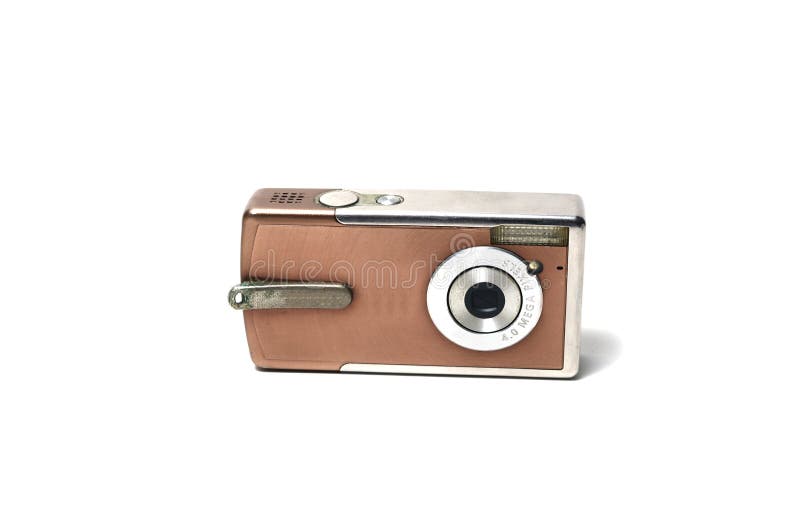 Brown Digital Backdrop for Newborn Photography with Pine Cones and ...