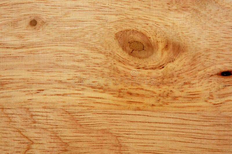 Old Brown Dried Wood Grain for the Background Stock Photo - Image of ...