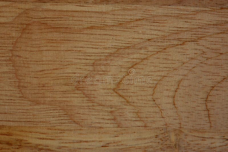 Old Brown Dried Wood Grain for the Background Stock Image - Image of ...