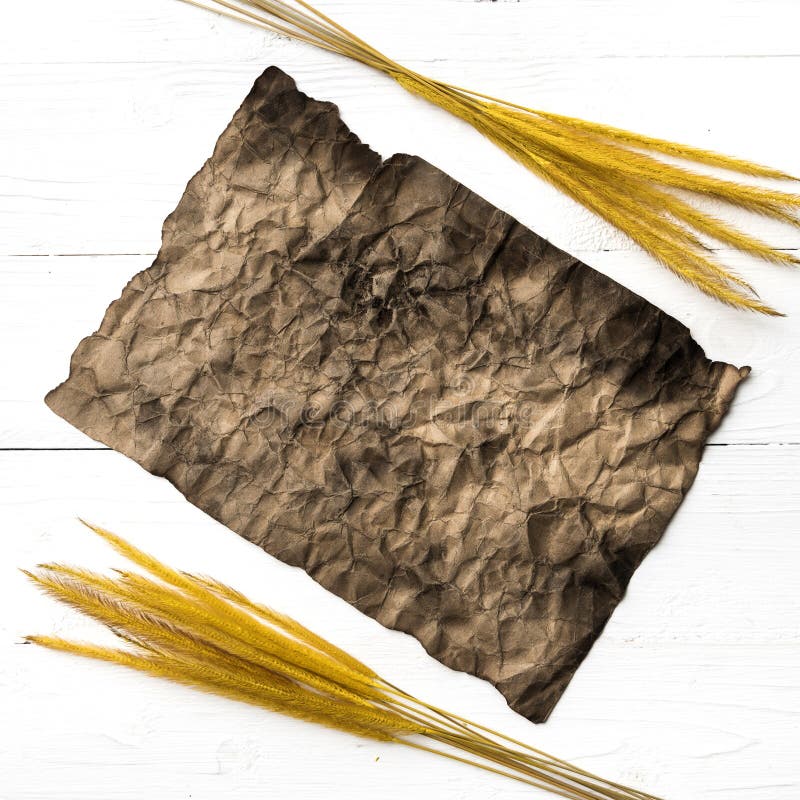 Old brown paper and wheat stock image. Image of healthy - 61526231