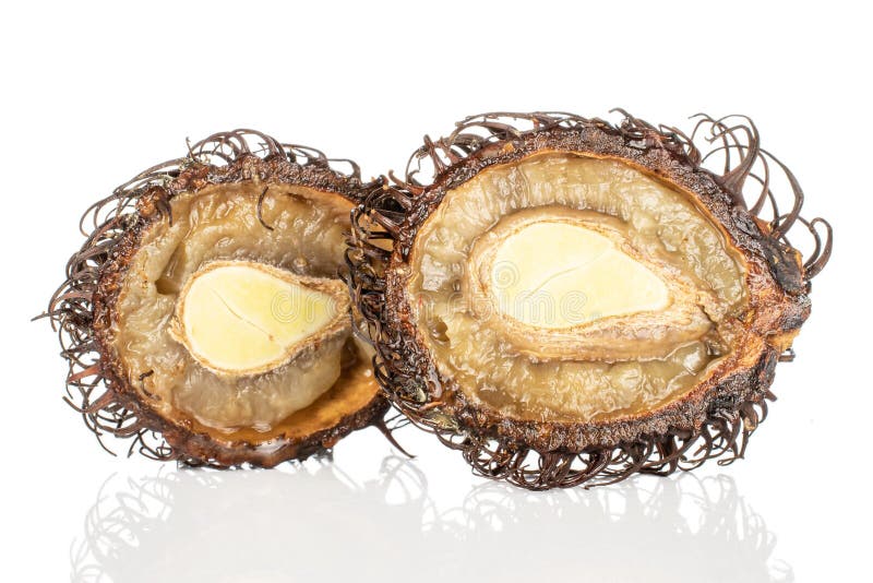 Old Brown Rambutan Isolated on White Stock Image - Image of food ...