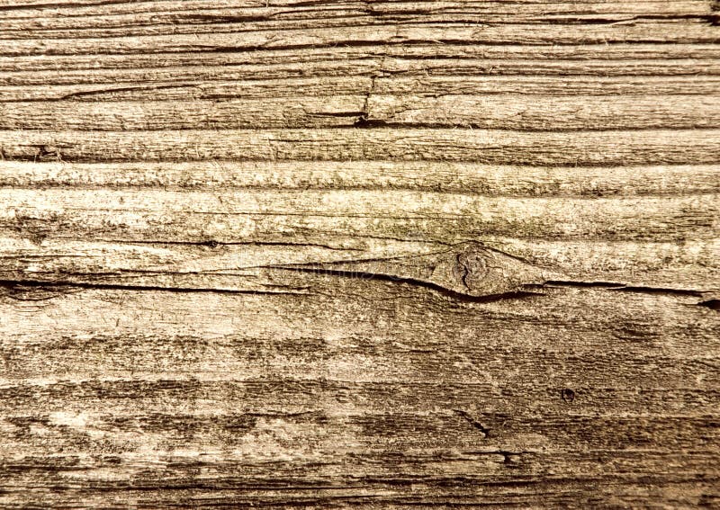 54+ Rotten plank texture Free Stock Photos - StockFreeImages