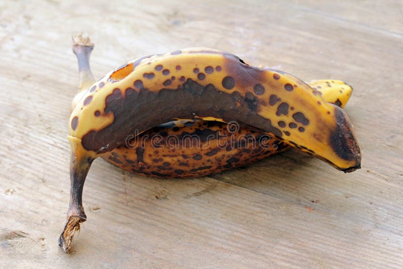 Old, Brown, Rotting Bananas Stock Photo - Image of eating, banana: 60221700