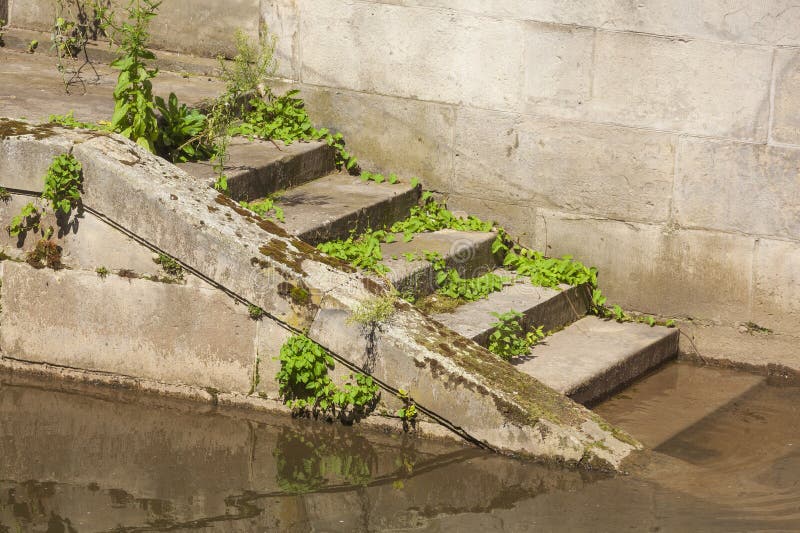 Old Brown Steps by a Body of Water Stock Image - Image of staircase ...