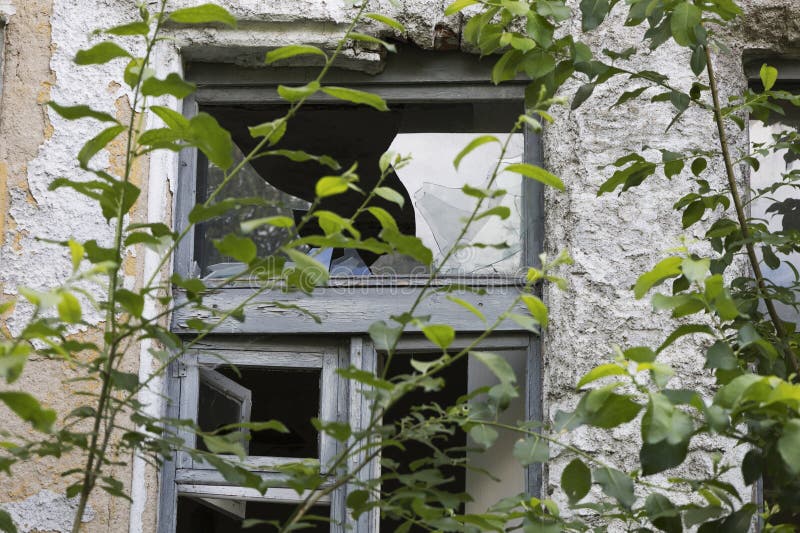 Old Building with Broken Window and Plants Growing Out of it Stock ...