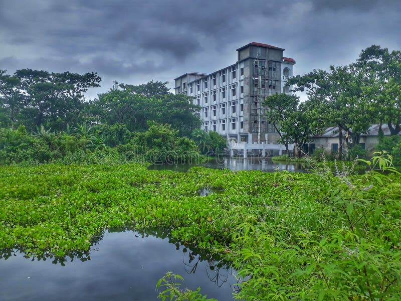 Old Building Captured Behind a Pond Surrounded by Grass in a Tropical ...