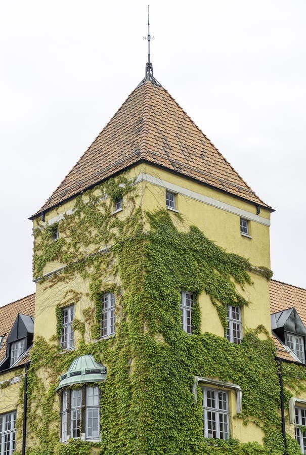 Building Covered In Green Vines Stock Photo - Image of city, office ...