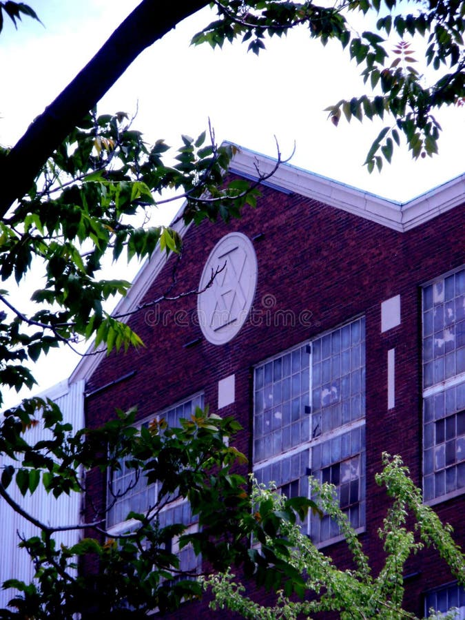 Old Building Smashed Windows Tree& X27;s Stock Image - Image of smashed ...