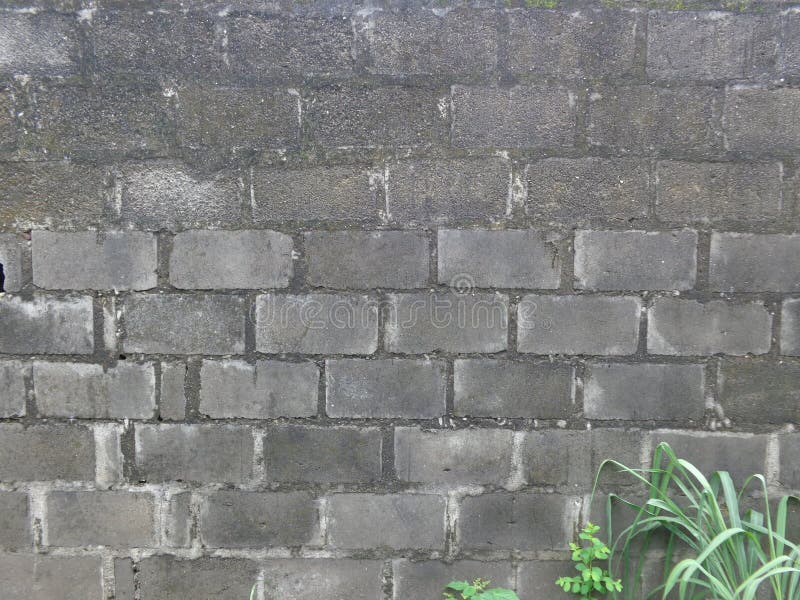 Old Building Wall Background Texture Stock Photo - Image of beautiful ...