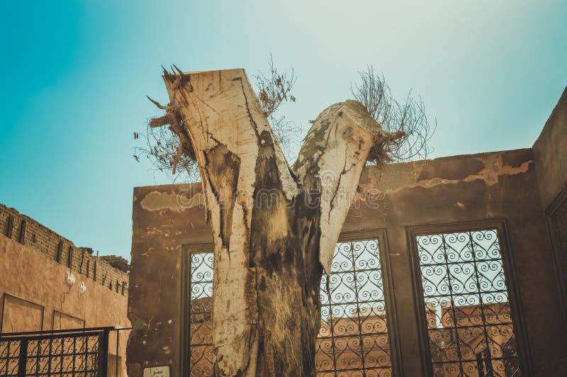 Old Buildings at Cairo, Egypt Stock Image - Image of citadel, egypt ...