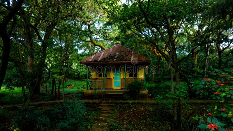 Old Buildings in Forest Ethiopia Stock Image - Image of jungle, green ...