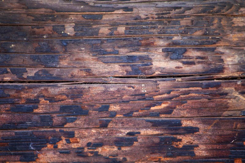 Burnt Wood Texture Background Stock Photo - Image of wood, rays: 117361232