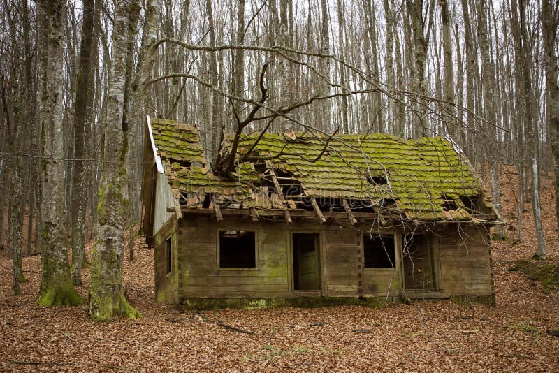 Old cabin. stock image. Image of abandoned, chair, house - 81942347