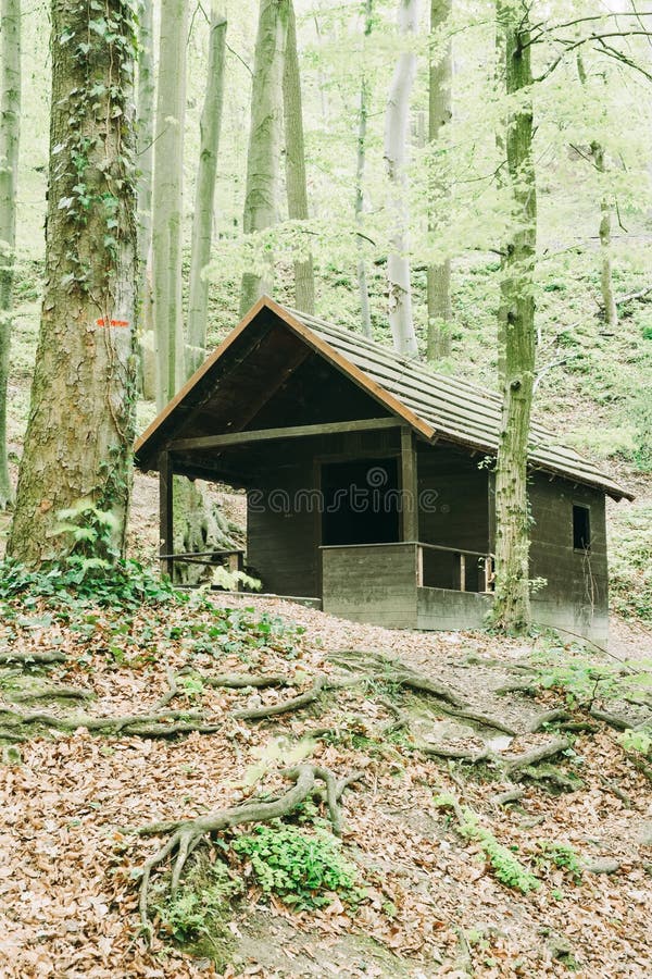 Old Log Cabin in the Forest Stock Photo - Image of shelter, antique ...