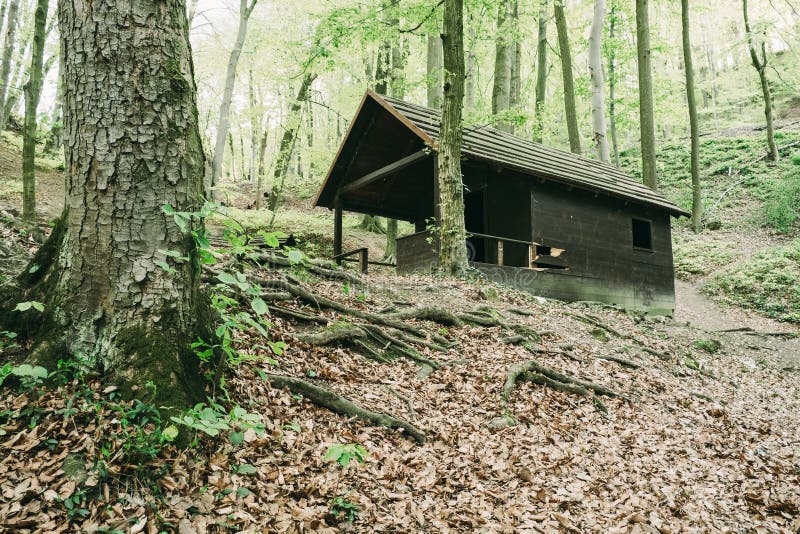Old Log Cabin in the Forest Stock Photo - Image of forest, jurgow ...