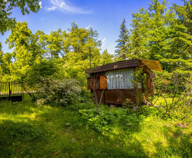 Old Cabin Hidden in the Woods at Spring. Stock Photo - Image of explore ...