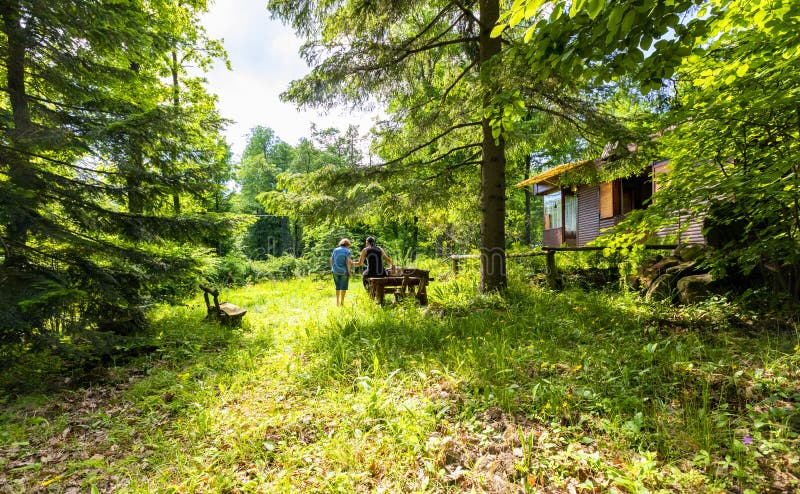 Old Cabin Hidden in the Woods at Spring. Stock Photo - Image of lonely ...
