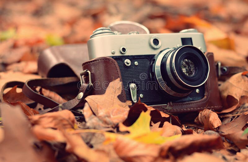 Old Camera in Autumn Leaves with Retro Effect Stock Image - Image of ...