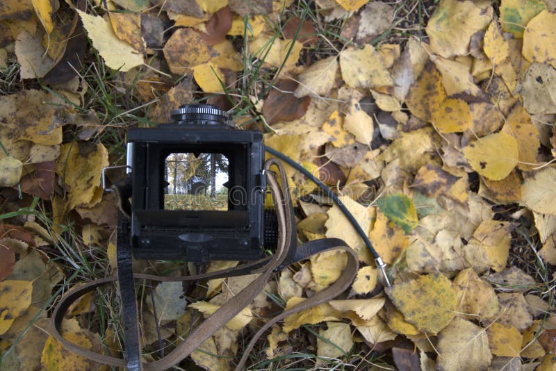 Old camera in the fall stock image. Image of texture - 116672643