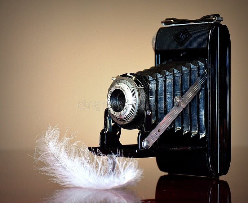 Old camera stock photo. Image of feather, beautiful, nature - 88476004