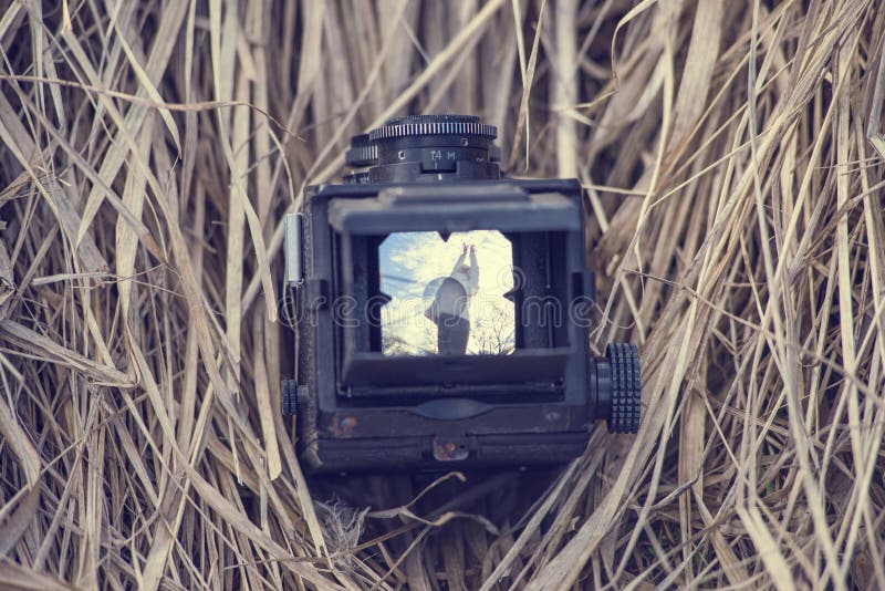 Old Camera Lies on the Dry Grass Stock Photo - Image of retro, burst ...