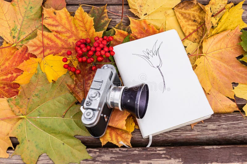 Old Camera and Notepad with Drawing at the Autumn Leaves Stock Photo ...