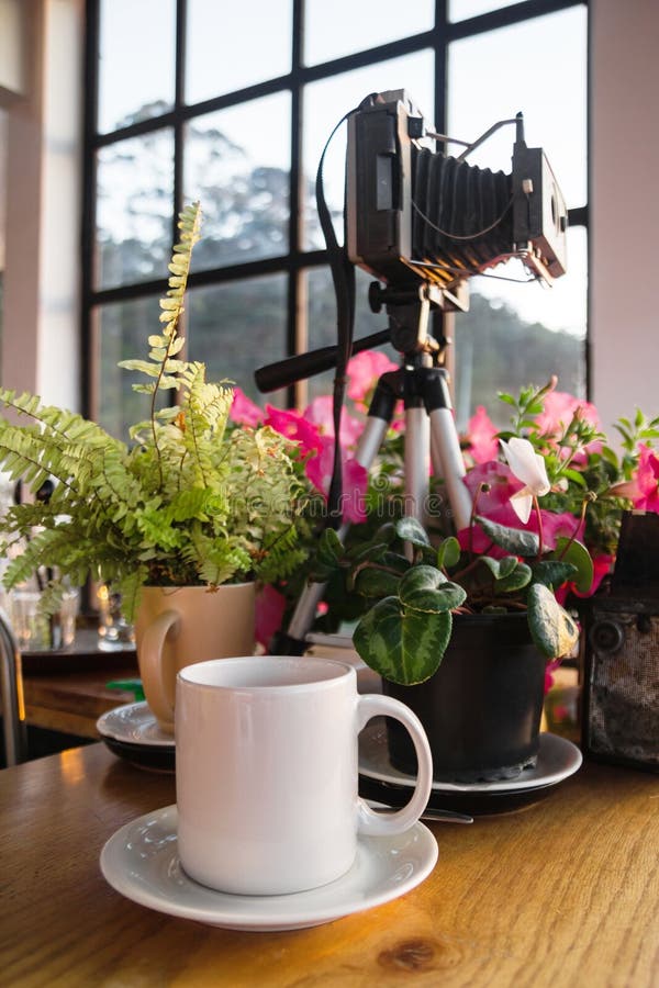 Old Camera on a Table with a Coffee Cup and Plants, Cozy Rustic ...
