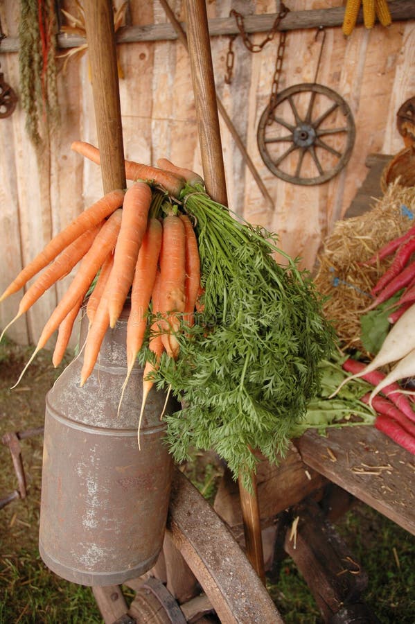 Stock Photos and Royalty-Free Images by Dreamstime